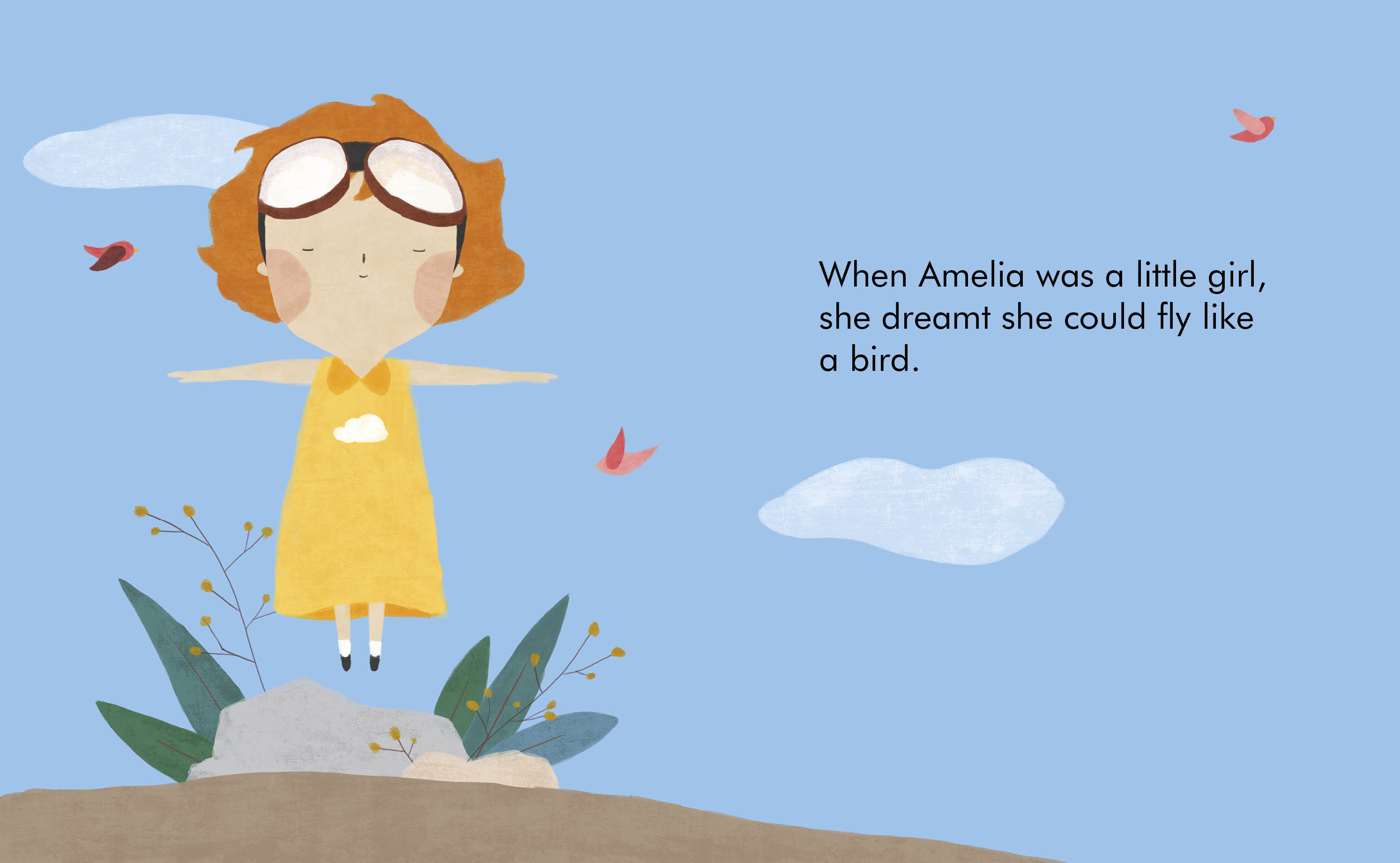 Amelia Earhart - Little People, BIG DREAMS